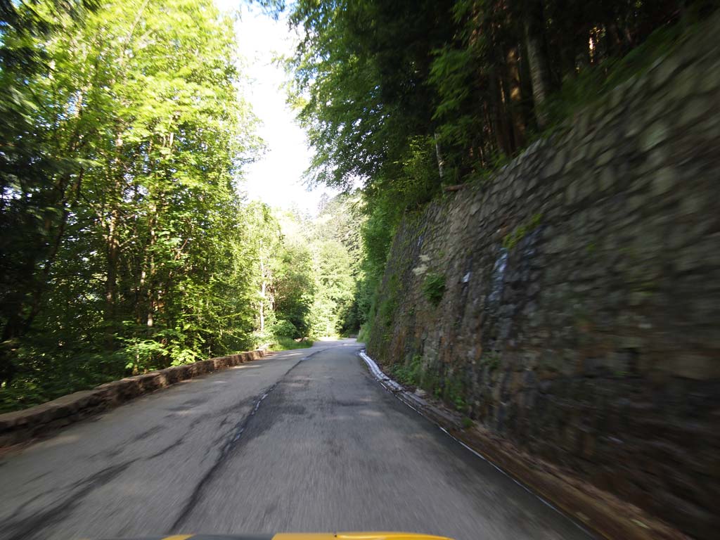 What I did on my summer vacation (many pictures!)| Grassroots ...